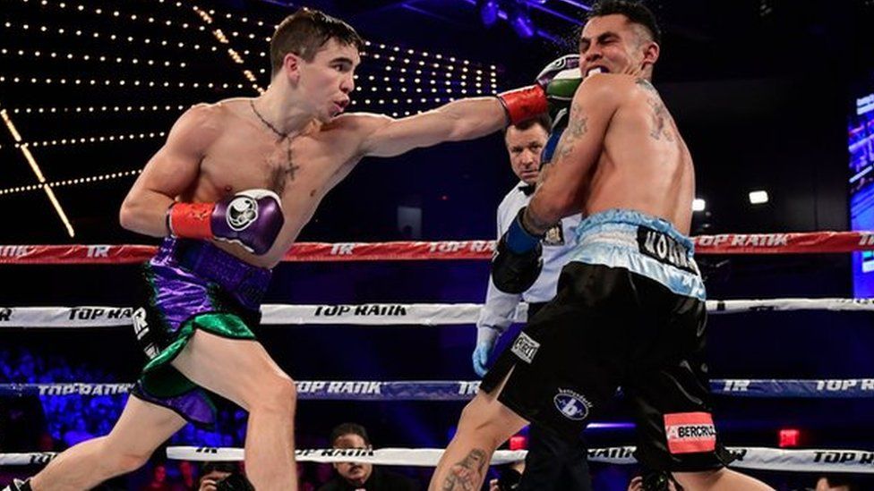 MTK Global's Irish boxers not competing in Irish capital - BBC News