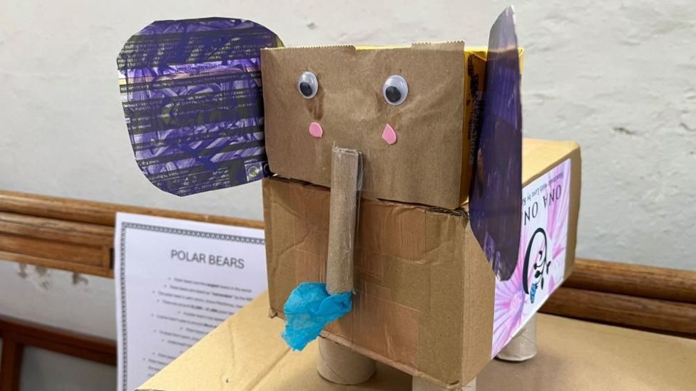 Norfolk schoolchildren honour climate champions as Eco Angels - BBC News