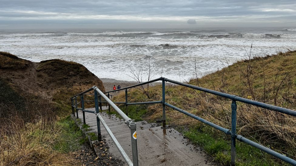Seaham beach warning after injured porpoise put back into sea - BBC News