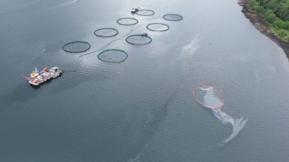 Plans made to recover sunken boat at Sound of Mull fish farm - BBC News