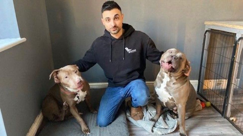 Rubery XL bully owner felt 'worse' for following law - BBC News