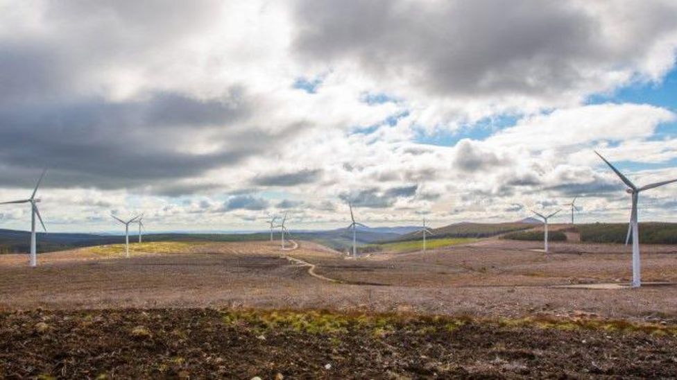 Clashindarroch II: Wildcat Haven appeals against wind farm ruling - BBC ...