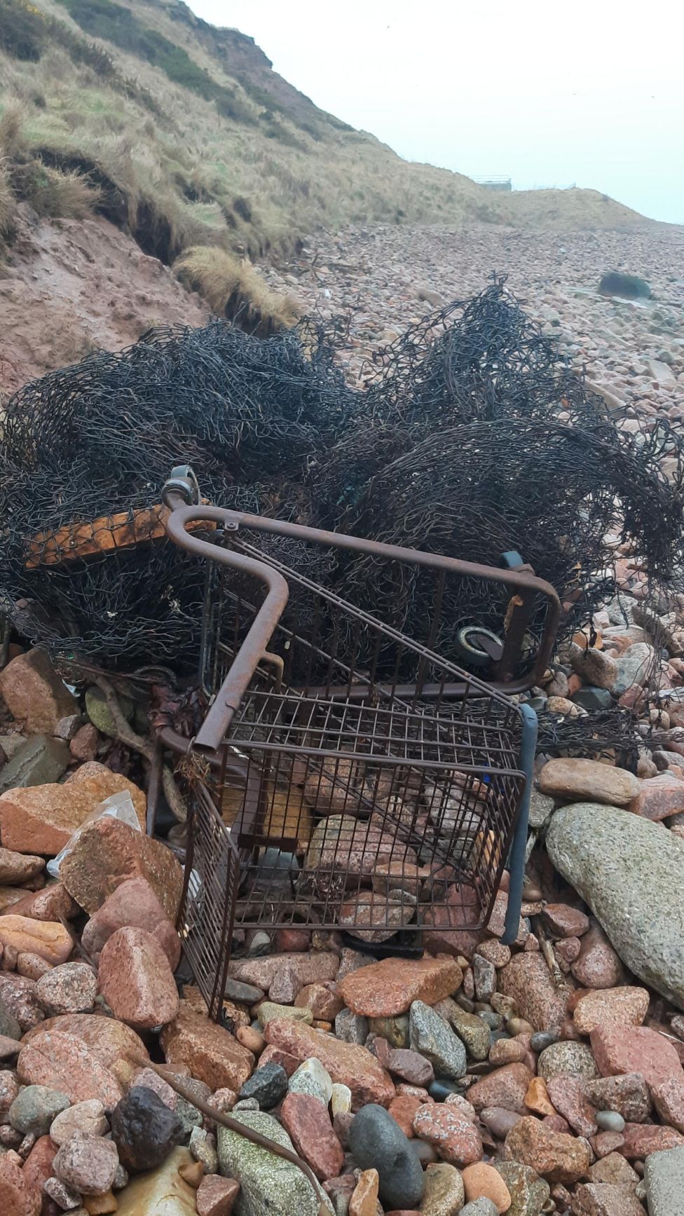 In pictures: Scotland's climate story in art and images - BBC News