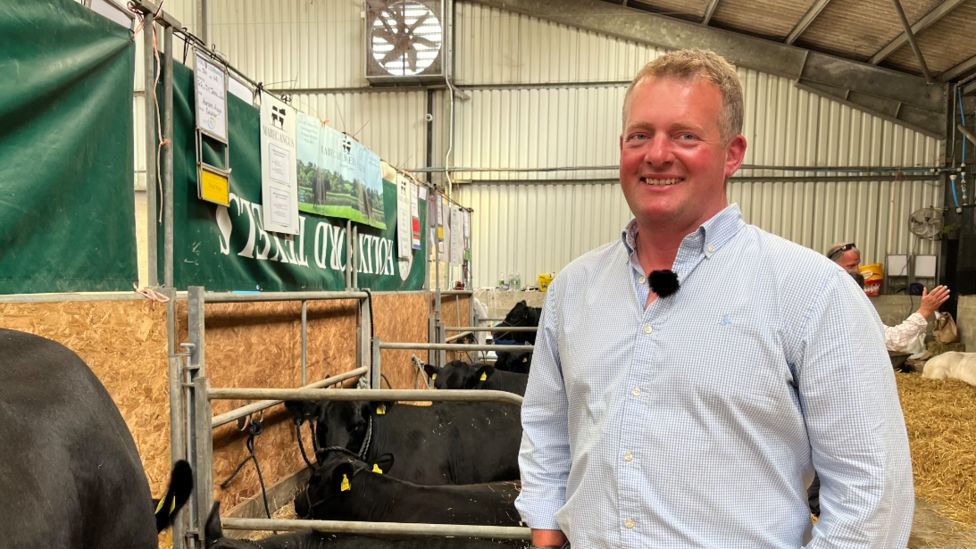 South West farmers fear for future ahead of general eleciton - BBC News