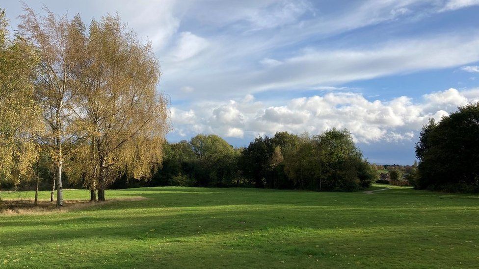 Allestree Park: Walking tour to set out rewilding plans - BBC News