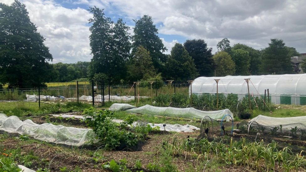 Visitors centre planned for UK's largest urban farm - BBC News