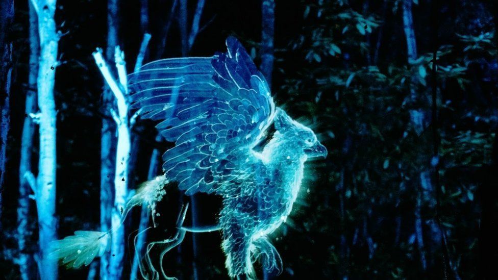 Windsor: Mythical creatures light up Royal Park for Christmas - BBC News