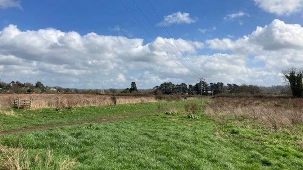 Former Hereford dairy farm restored as nature reserve - BBC News
