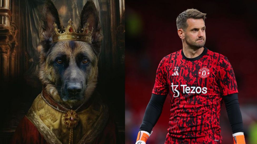 Doting doggy portraits keep England players company - BBC Newsround