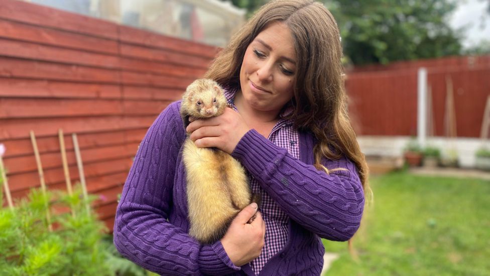 Animal rescuer builds ferret playground in Nottinghamshire home - BBC News