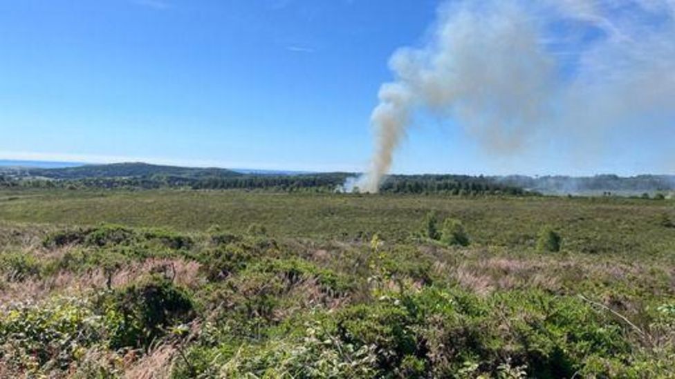 Firefighters put out heath fire at Exmouth in Devon - BBC News