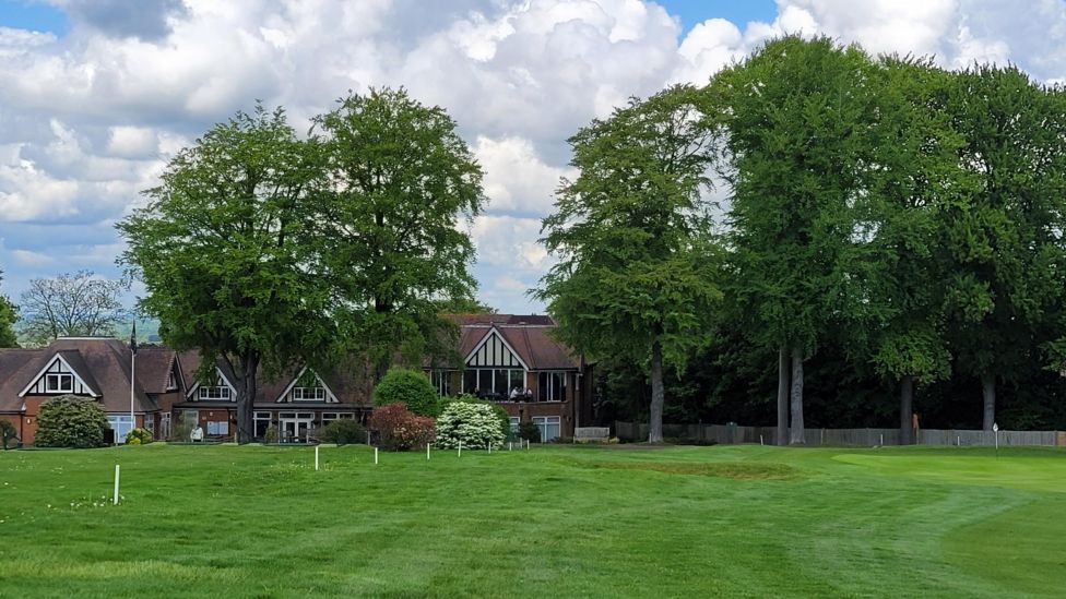 Guildford: Threatened beech trees saved following objections - BBC News