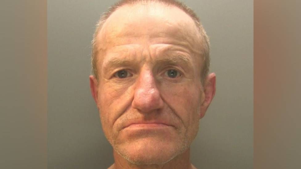 Hedgehog: Man who mutilated young animal jailed for 18 months - BBC News