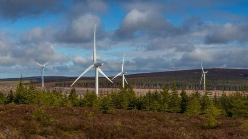 Clashindarroch II: Wildcat Haven appeals against wind farm ruling - BBC ...