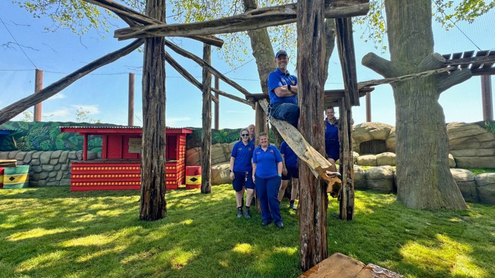 East Sussex: £500,000 bespoke monkey habitat opens at zoo - BBC News