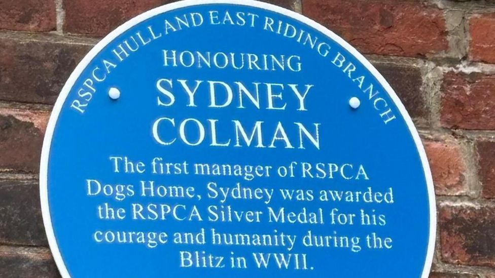 RSPCA pays tribute to hero of Hull Blitz - BBC News