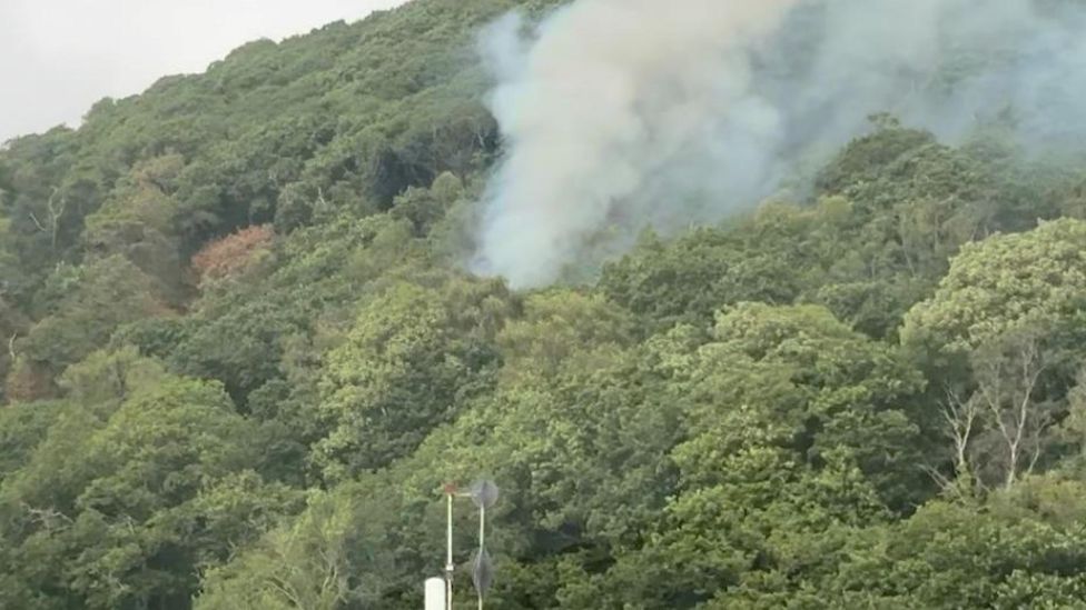 Fire near South Devon steam railway embankment - BBC News