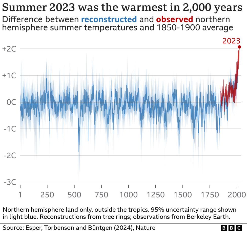 Climate change: Last summer hottest in 2,000 years, trees reveal - BBC News