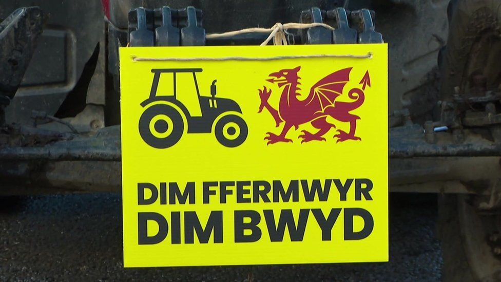 'Dim oedi' cynllun amaeth ond gweinidog newydd 'yn gwrando' - BBC Cymru Fyw