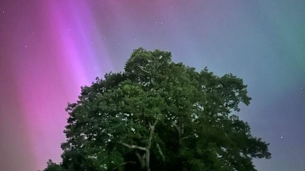 Kent: Northern lights across the county in pictures - BBC News