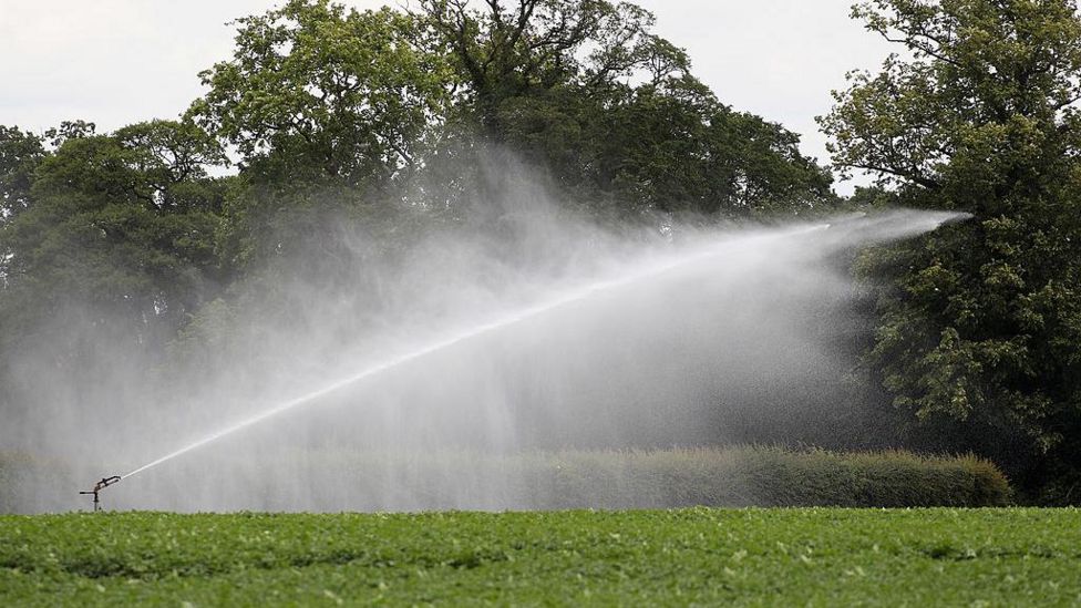 East of England has driest February since 1959 - BBC News
