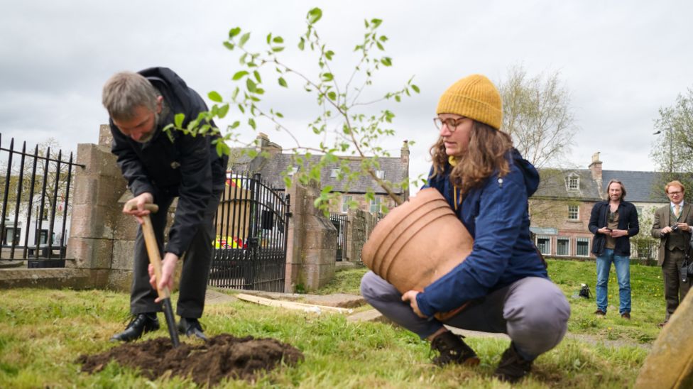 New life at site of Highlands' Beauly Elm - BBC News