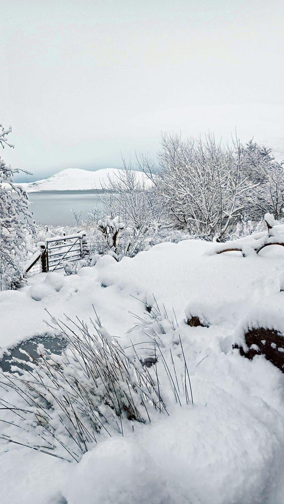 Scotland snow: Your pictures across the country - BBC News