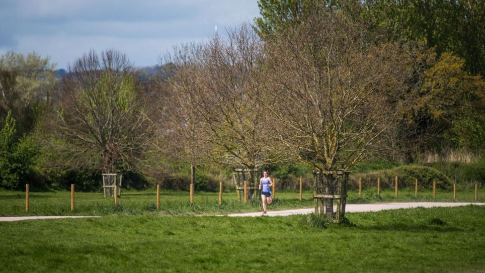 Thousands donated to trust to improve Exeter park - BBC News