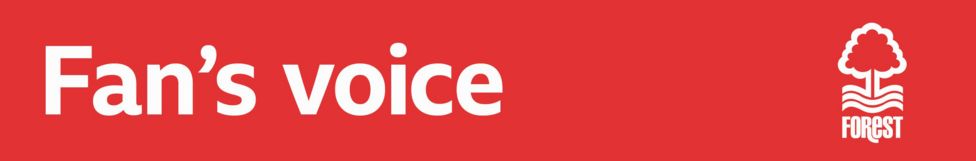 Nottingham Forest fan's voice: Transfer dilemmas 'probably clearer now ...