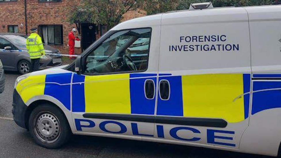 Arson arrest after house fire in Basildon - BBC News