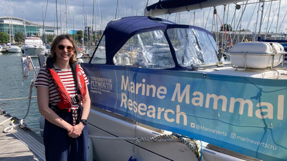 Plymouth University team to survey marine mammals - BBC News