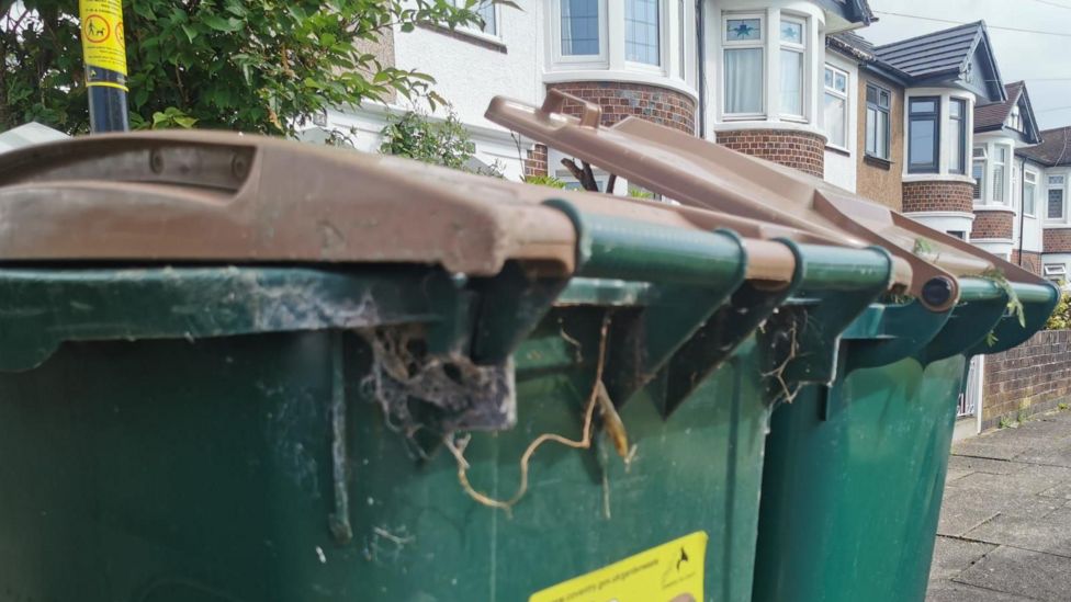 Coventry garden waste charge to be introduced next month - BBC News