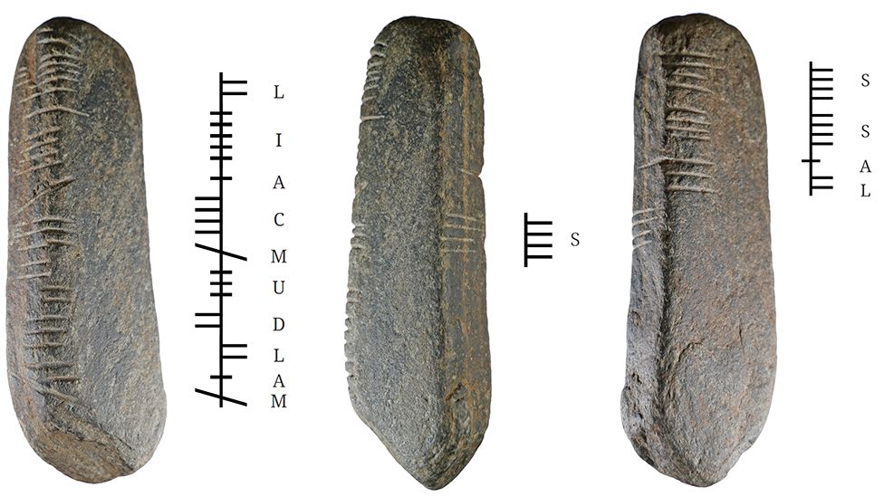 Ogham stone unearthed in Coventry garden excites archaeologists - BBC News