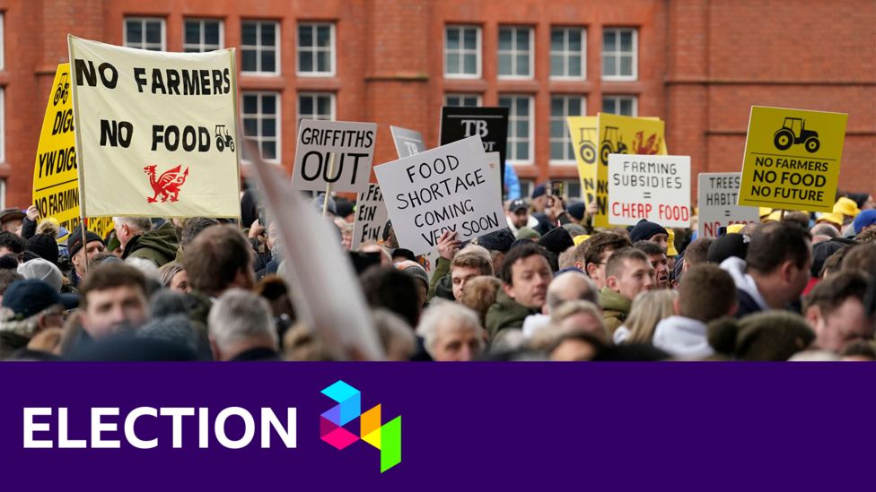 Plaid Cymru: Some areas need more immigration, Rhun ap Iorwerth says ...