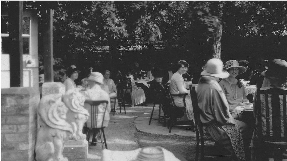 Bedford Panacea Museum's 'Tree of Life' falls due to decay - BBC News