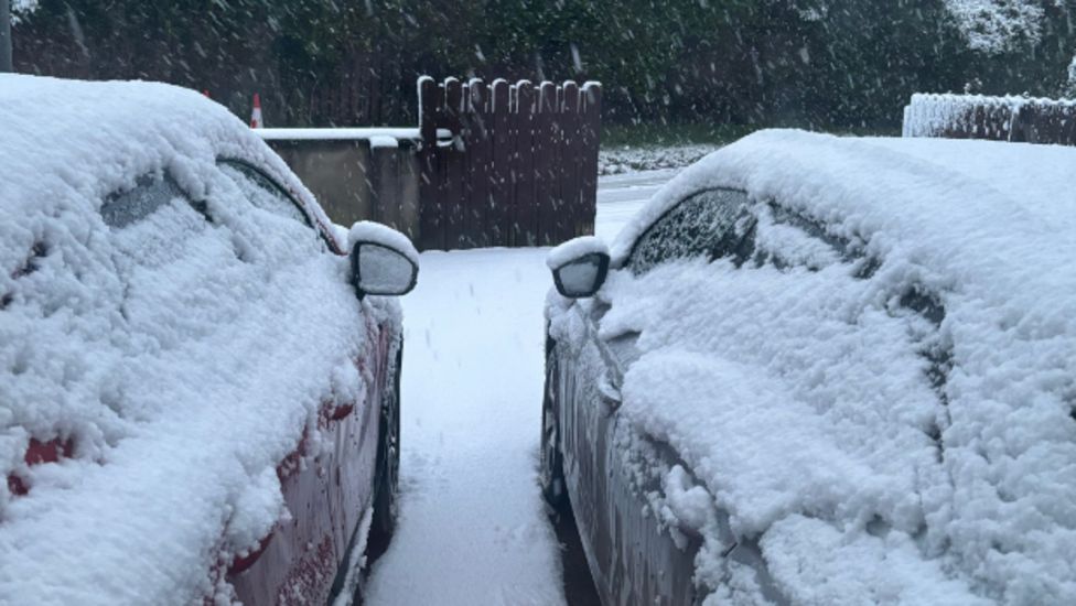 In pictures: Snow falls across Northern Ireland - BBC News