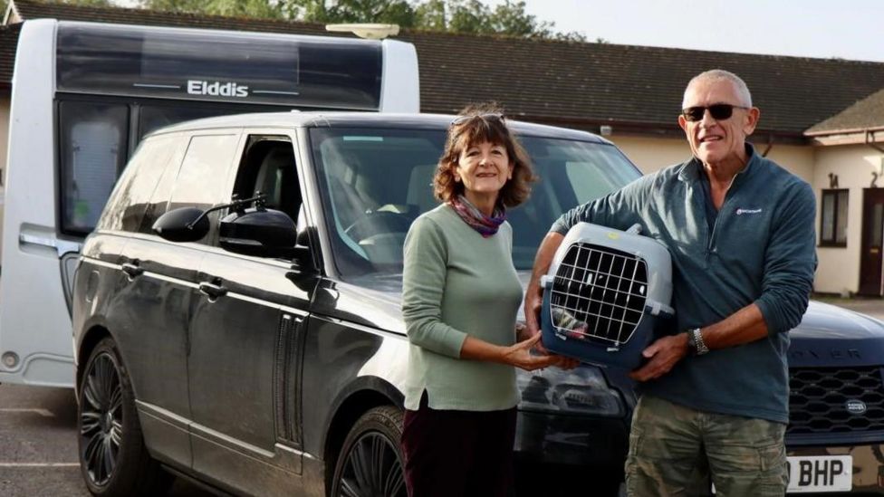 Stowaway Lincolnshire cat joins couple on holiday to Devon - BBC News