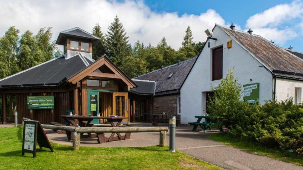 Aviemore group takes over Glenmore Visitor Centre from FLS - BBC News
