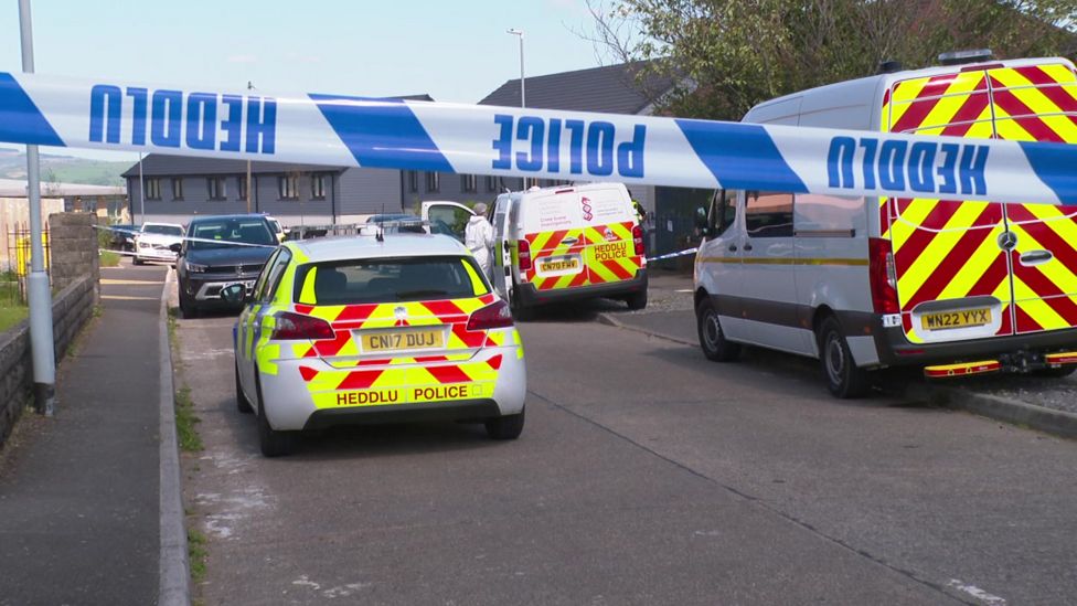 Swansea: Murder arrest made after man, 48, found dead in Clase - BBC News