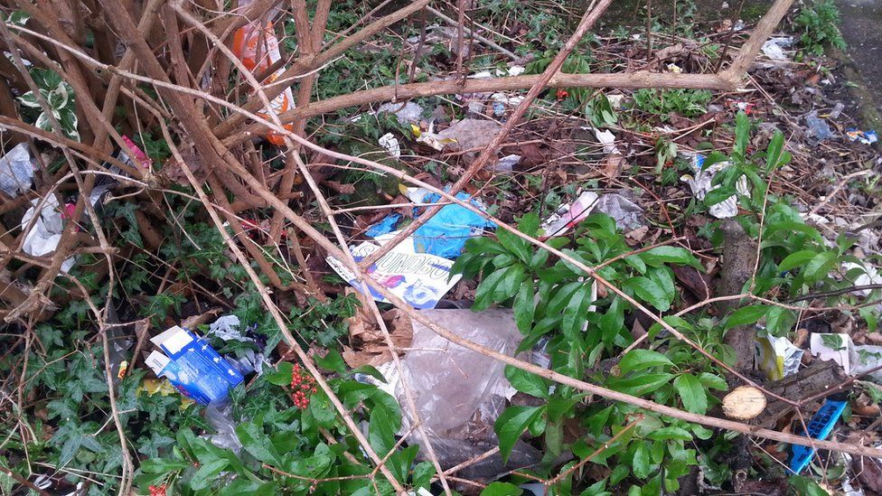 Adopt a Street: Liskeard Town Council launches new litter scheme - BBC News