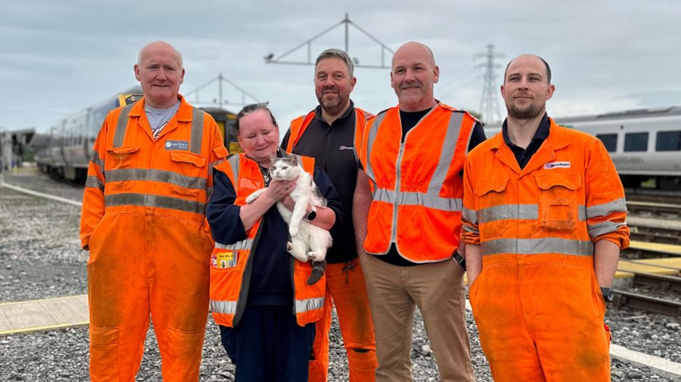 Northern seeks name for Barrow train centre cat - BBC News