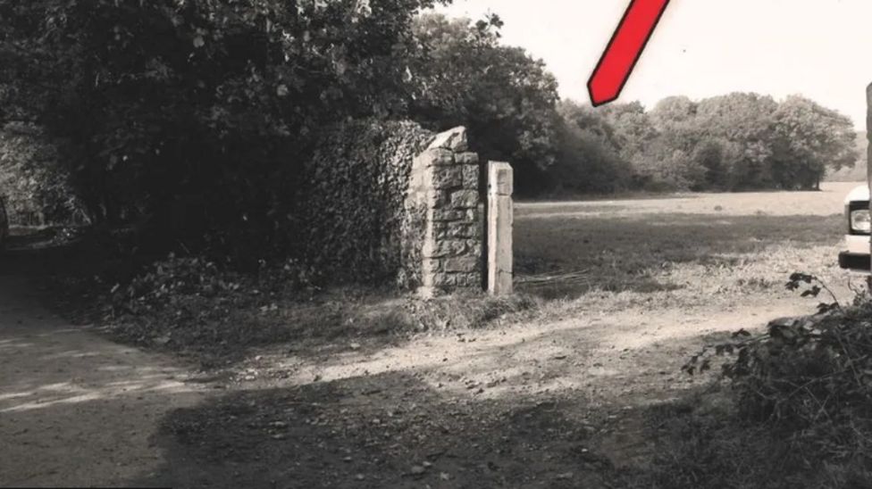 Fresh appeal to find Shelley Morgan's killer 40 years later - BBC News