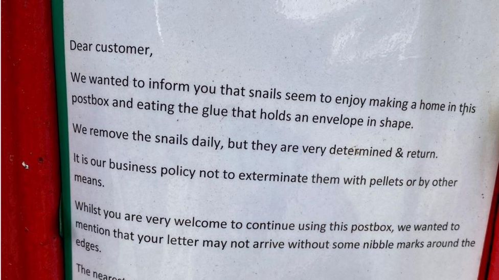 Snails eating mail in Lewdown village postbox - BBC News