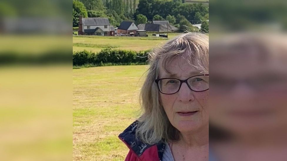 Dicter am enw Saesneg ar stad o dai newydd ym Mhontrobert - BBC Cymru Fyw