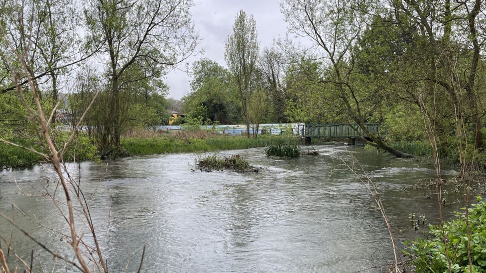 Calls for urgent action on sewage spills to protect chalk streams - BBC ...