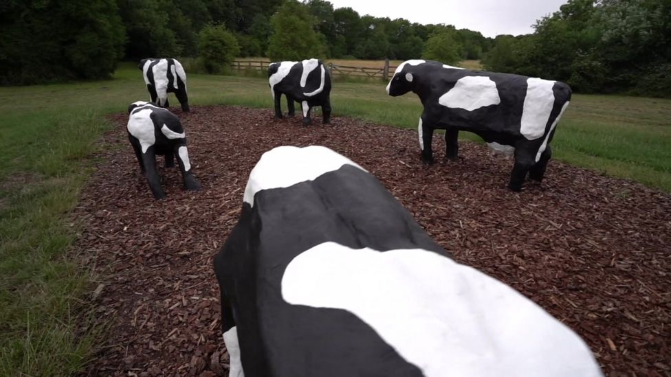 Milton Keynes concrete cows repainted - BBC News