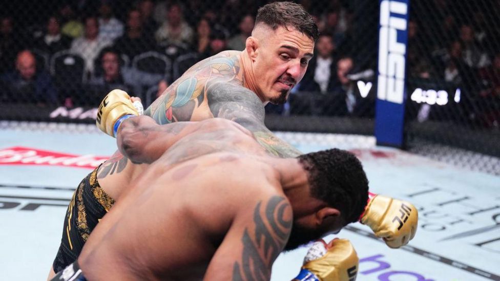 MMA schedule and results 2024: Key fights including UFC 306 Sean O ...