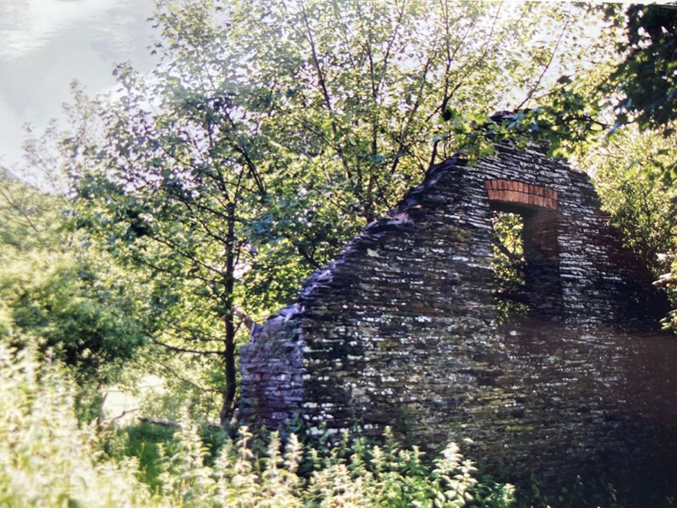 Dafydd Iwan: Oriel atgofion pen-blwydd 80 - BBC Cymru Fyw