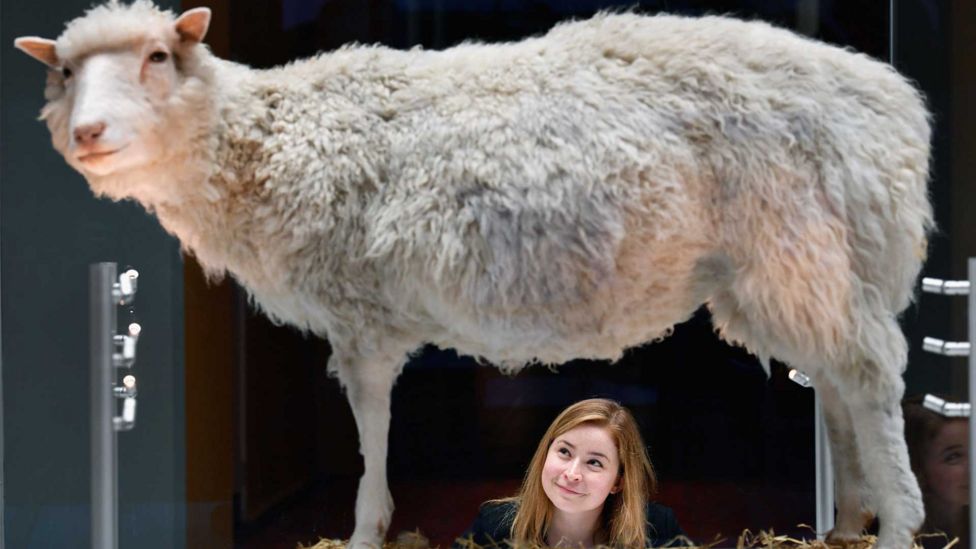 Celebrity clone theories mad enough to break the internet - BBC Three