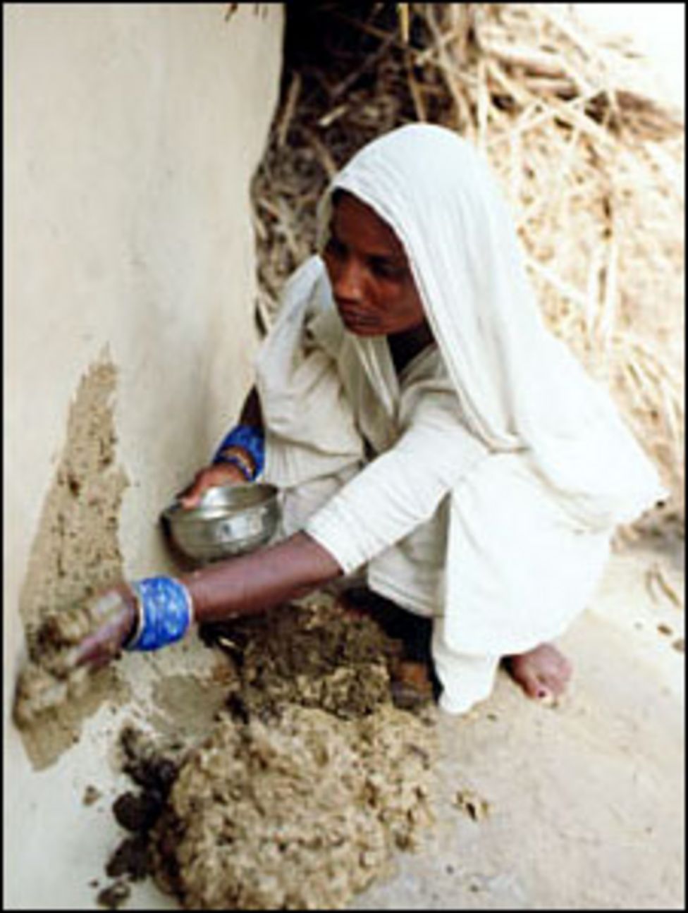 Nepal hosts international conference on widows - BBC News